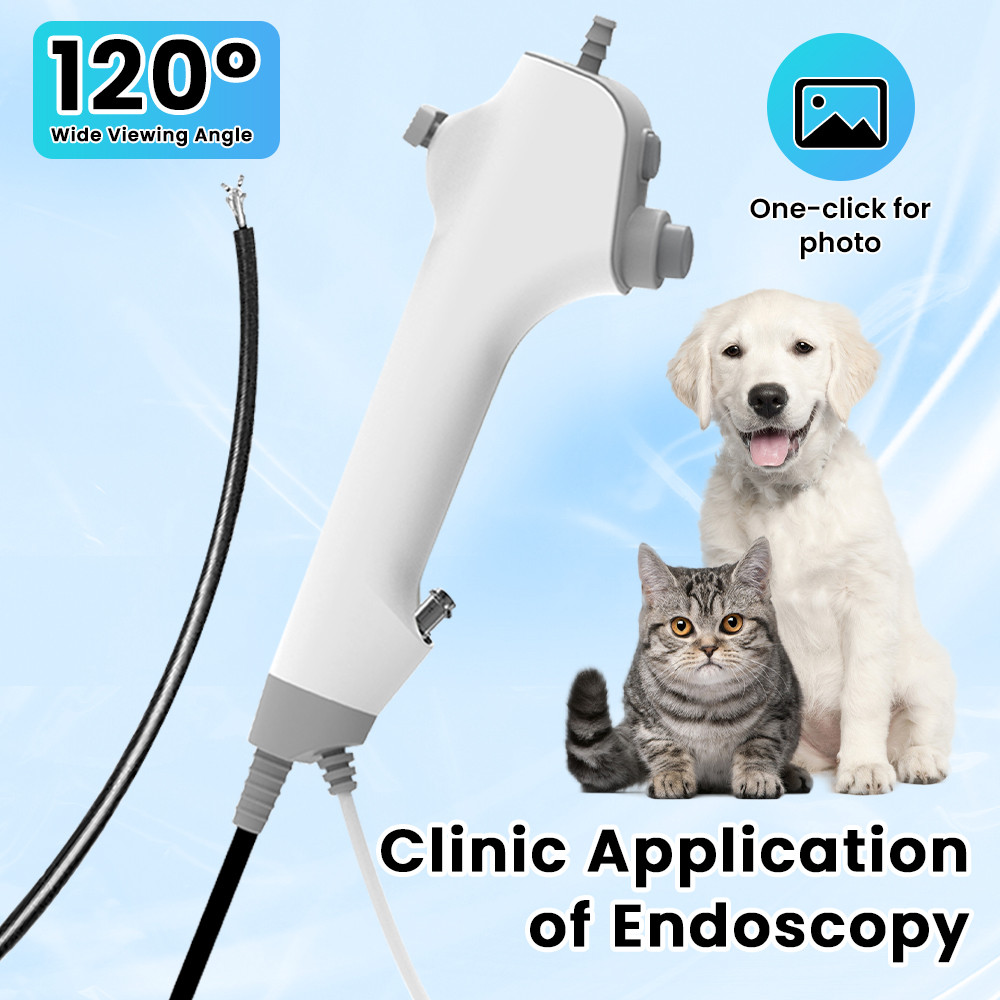 Ent Veterinary Endoscope กล้อง Multi-function ยืดหยุ่น Urology ...
