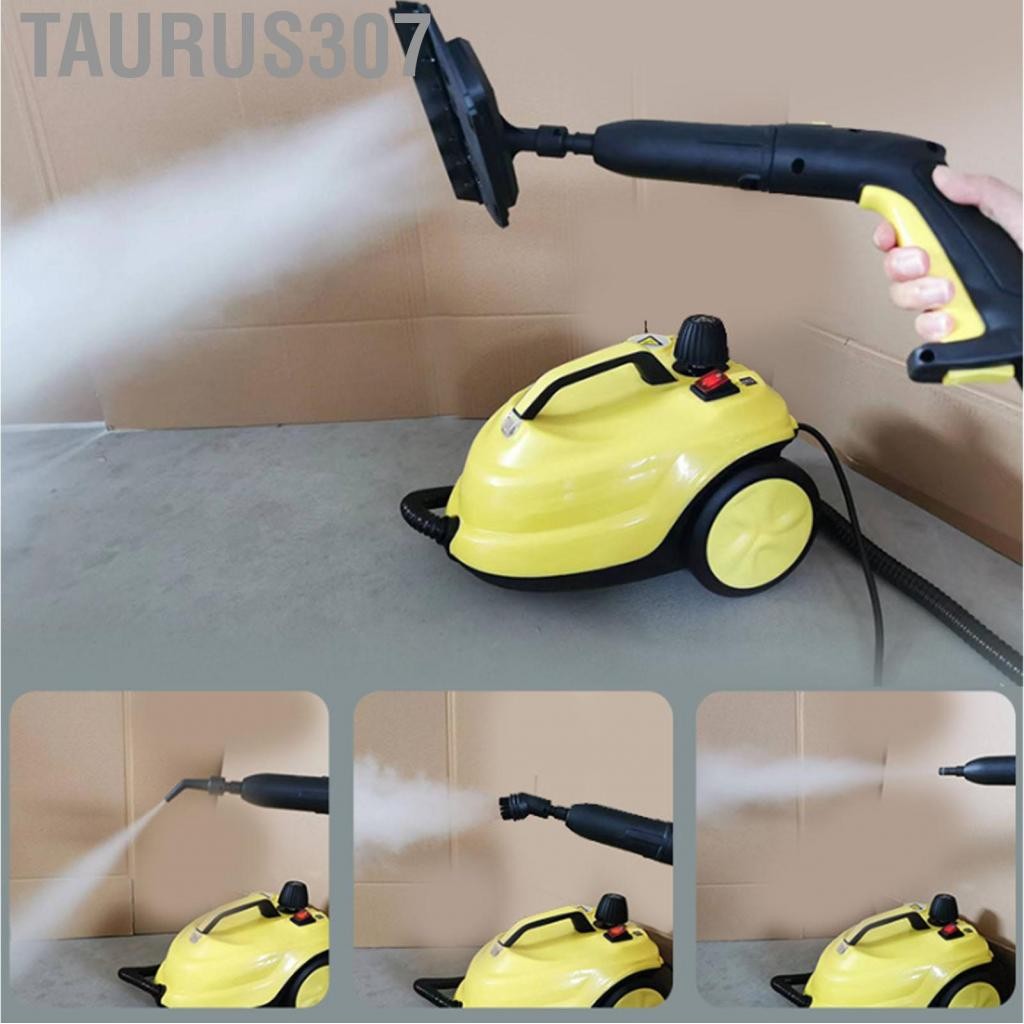Taurus307 Canister Steam Cleaner ถัง 2 ลิตรแบบยืดหยุ่นการขจัดตะกรันลึก ...
