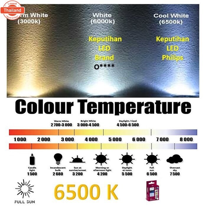 genuine หลอดไฟหน้า LED PHILIPS ฟิลิปส์ M5 T19 12V DC แสงขาว 6500K 11163UEMX1 Wave / Dream ...