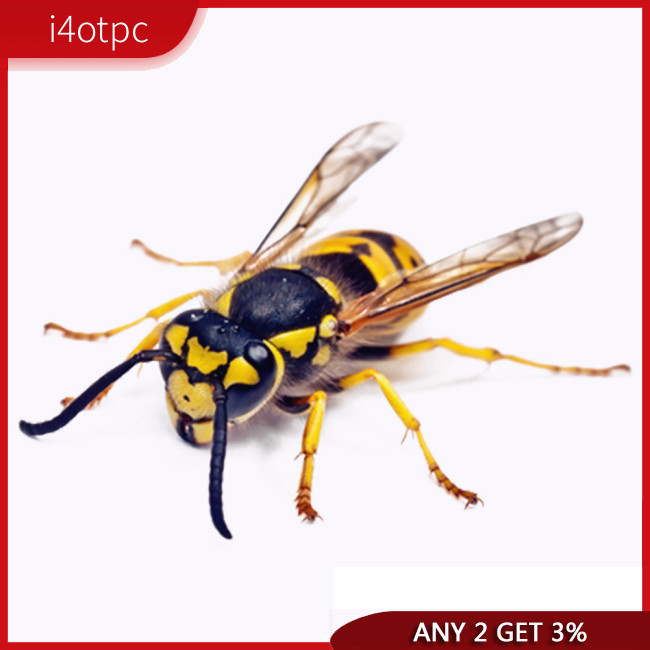 I4otpc 3D สติกเกอร์รถสัตว์กันชน Spider Gecko Scorpions รถ-จัดแต่งทรงผม Abarth ไวนิล Decal สติกเก ...