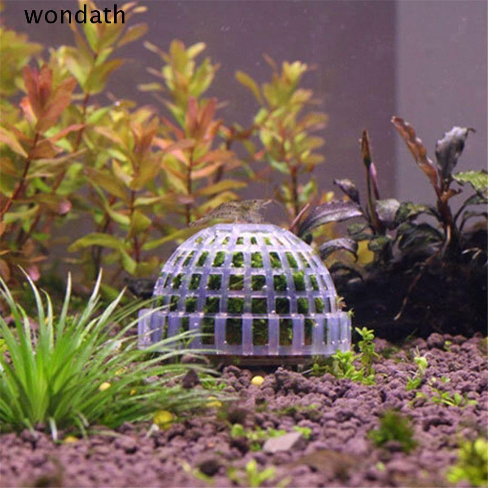 WONDA Suspension Moss Dome, พลาสติก White Moss Balls ตกแต่ง, อุปกรณ์ตู้ ...
