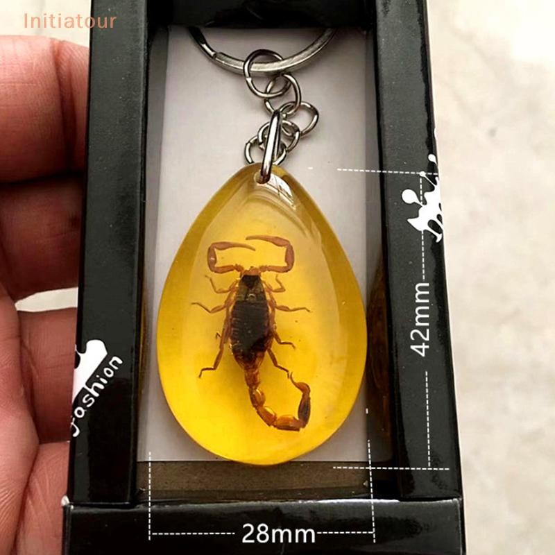[Initiatour] สุ่มสไตล์ 1PC Amber Key Chain แมลงตัวอย่างโซ่จี้ Scorpion ...