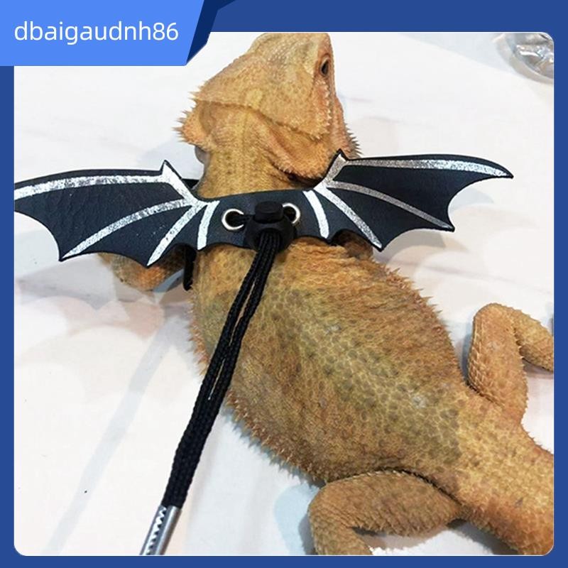 READY Stock สายรัดสายจูง Dragon Lizarded - 3 ขนาดแพ็คไดโนเสาร์ Wing ...