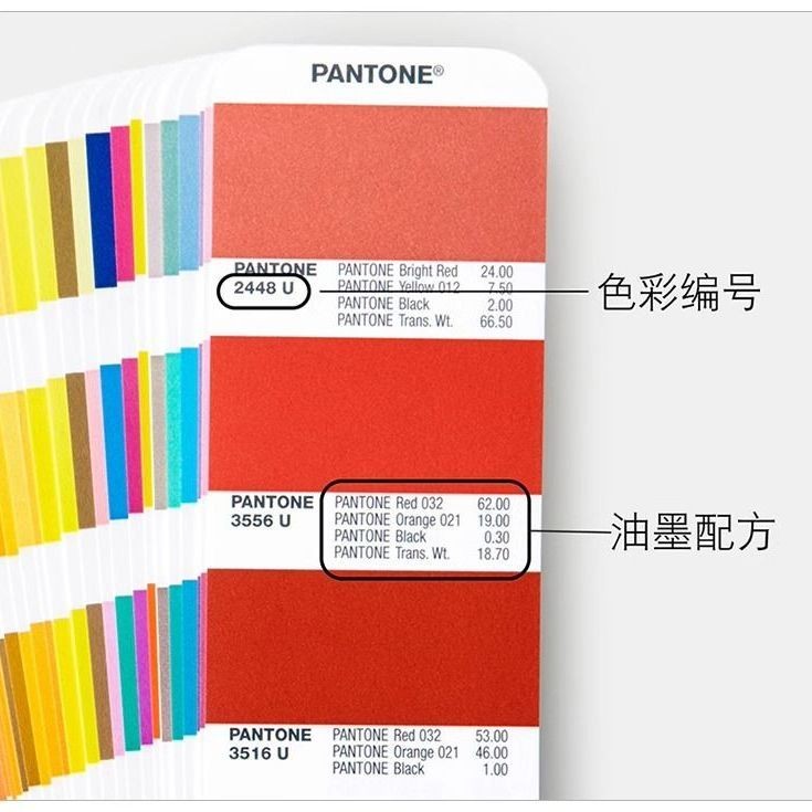 Pantone Pantone International Color Card 2025 Batch 2022 เวอร์ชั่นใหม่ ...