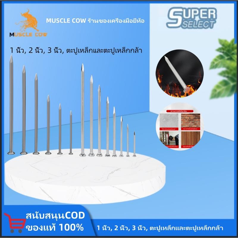 MUSCLE COW ตะปู ตะปูตอกไม้ ตะปูหัวเล็ก ตะปูเฟอร์นิเจอร์ ตะปูเข็ม (150g ...