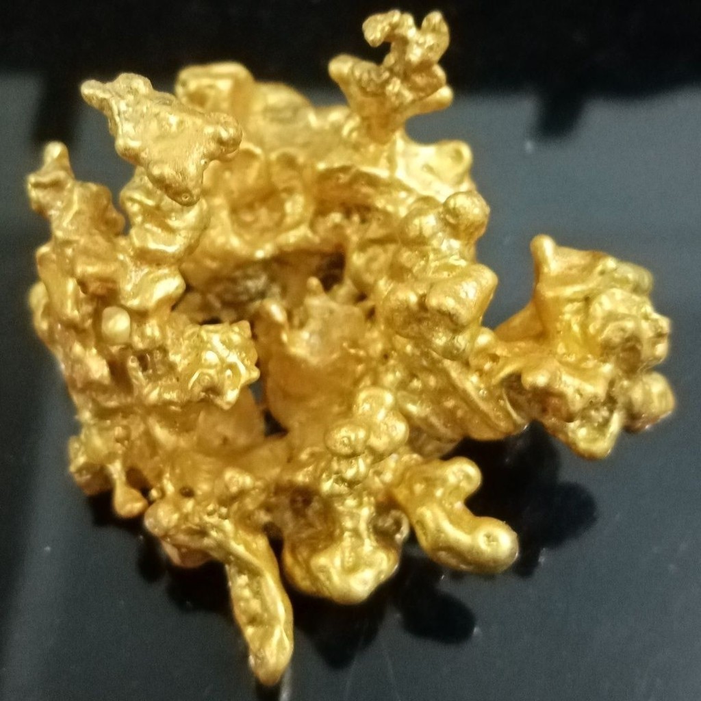 Golden Meteorite หินหยาบของแท้หัวสุนัข Gold Pure Natural Horseshoe Gold ...