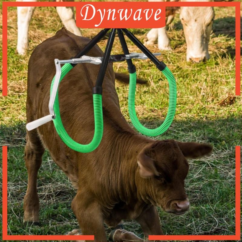 [Dynwave] Cow Hip Lift Cattle Lifter Cattle Hip Clamp 1500kg ความจุ ...