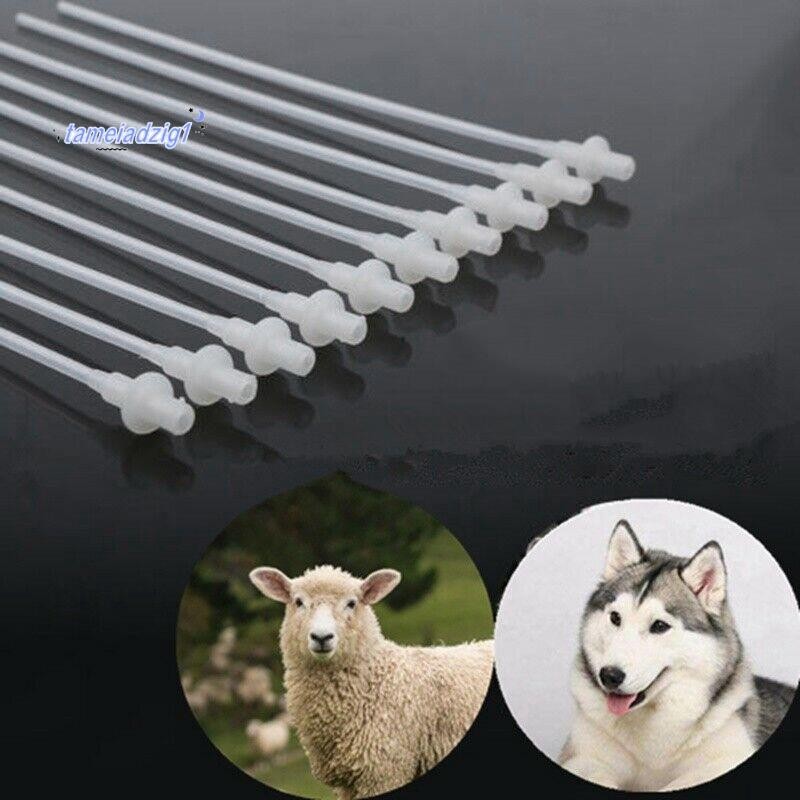 50 ชิ้น Rods Breeding Catheter Tube สุนัขแกะแพะ 10 นิ้ว | Shopee Thailand