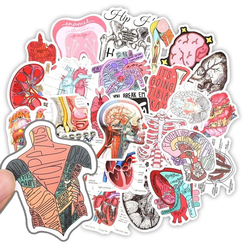 53 ชิ้น/เซ็ต Creative Anatomy-themed สติกเกอร์ DIY Human Anatomy รูปแบบ ...