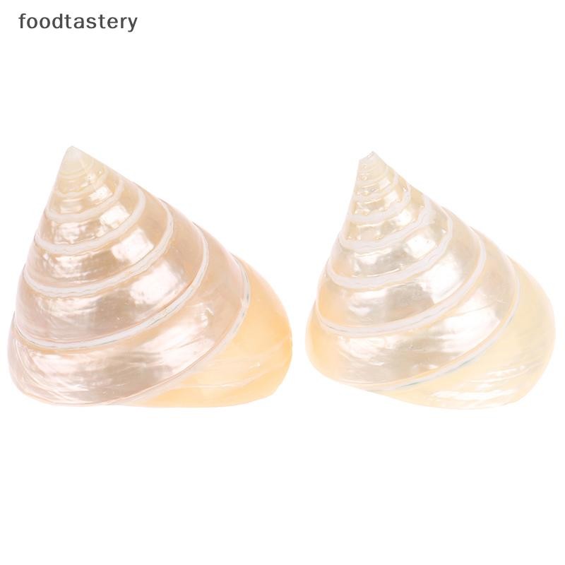 FTY 5-6 ซม.เปลือกหอยสังข์ธรรมชาติ Luminous Tower Snail Pearl Tower ...