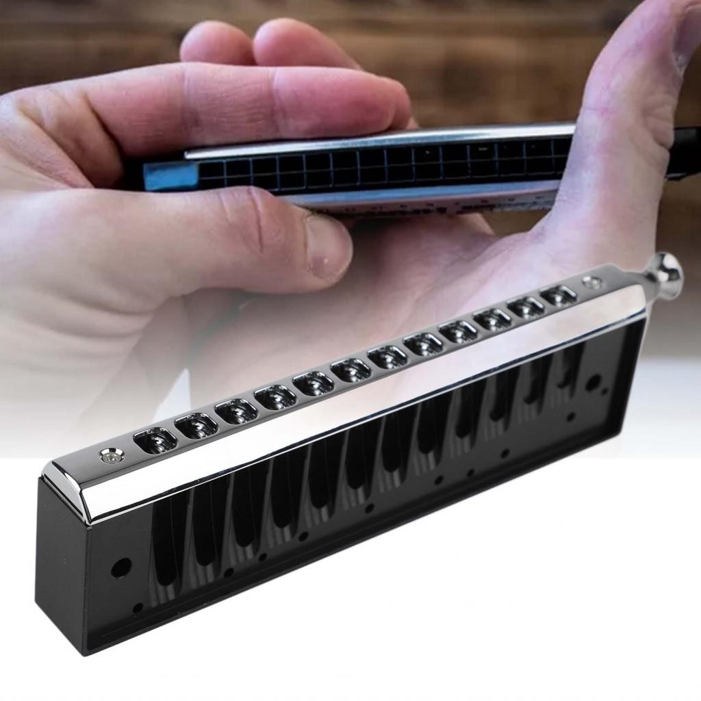 ออร์แกน Harmonica Comb Fine Workmanship Organ Organ 12 Hole Aluminium ...