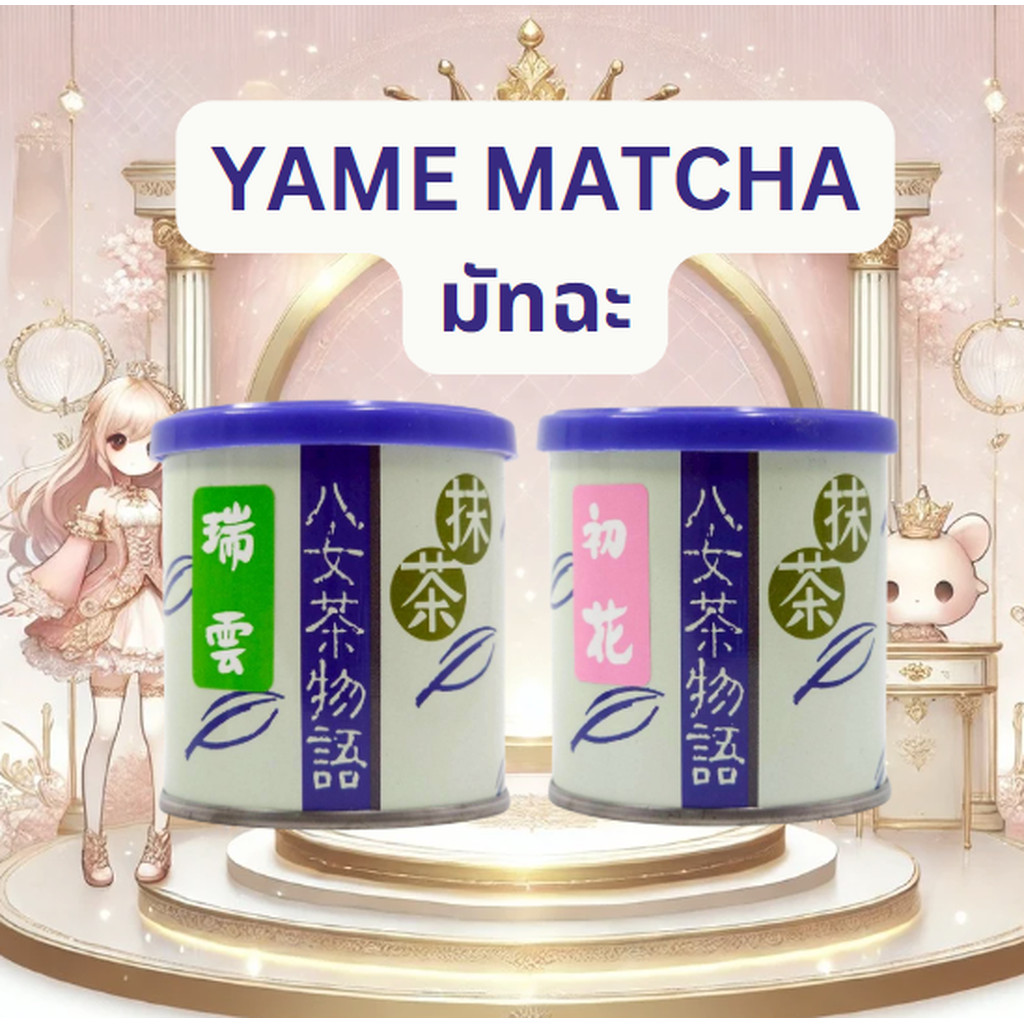 มัทฉะเกรดพิธี Yamecha Monogatari 20g | Shopee Thailand