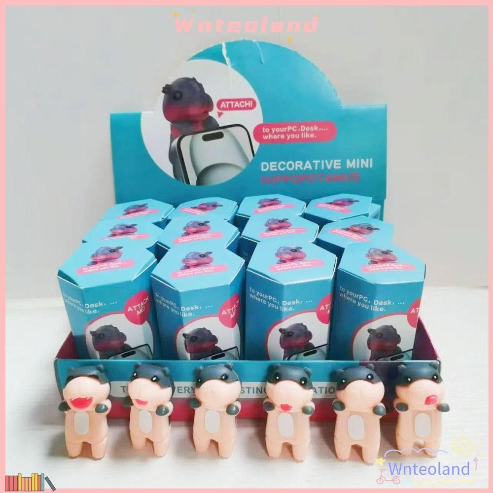 Wnteoland 12 ชิ้น/กล่อง Labubu กล่อง, PVC Labubu กล่อง, Moo Deng ...
