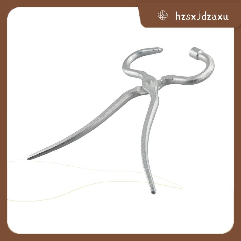 hzsxjdzaxuFarm อุปกรณ์ Bull Cattle คีมจมูกวัวคลิปเจาะเครื่องมือ Bovine ...