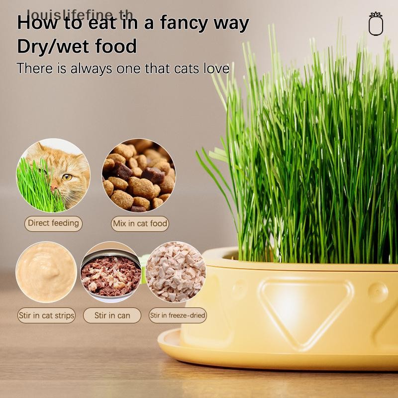 Louislifefine Pine Shape Cat Grass Planting Box Planting Hydroponics Box Soilless Hydroponic Cat ...