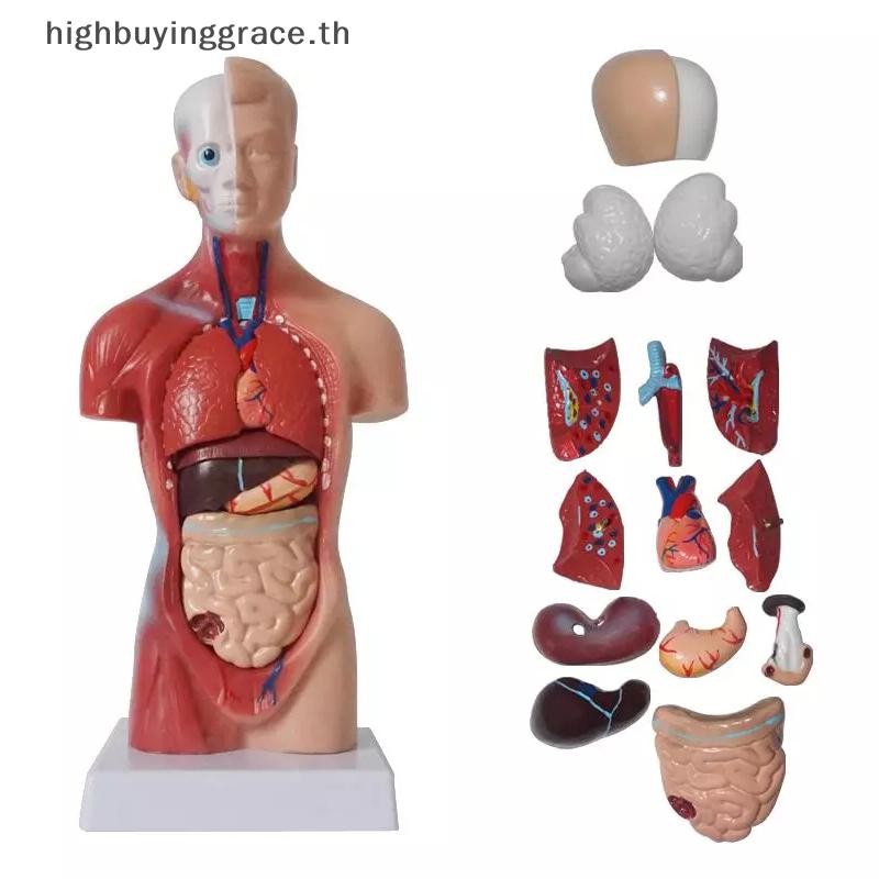 HGTH Unisex ลําตัวมนุษย์ Body Anatomy Anatomical รุ่นอวัยวะภายในระบบ ...