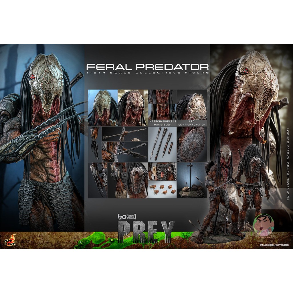 Hot Toys TMS114 Prey – Feral Predator 1/6th Scale Collectible Figure ...