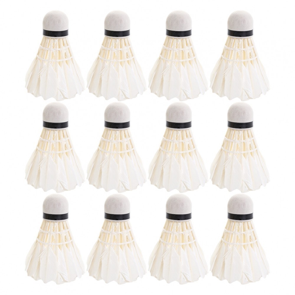 【AMANDA】Efficient Flight Stabilization in Every Shot with These 12 ...