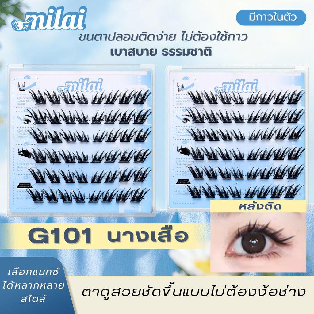 【ใหม่】G101 นางเสือ MILAIขนตาปลอมกาวในตัว ตาหวาน มีวอลลุ่ม ตาโต ละมุน ...