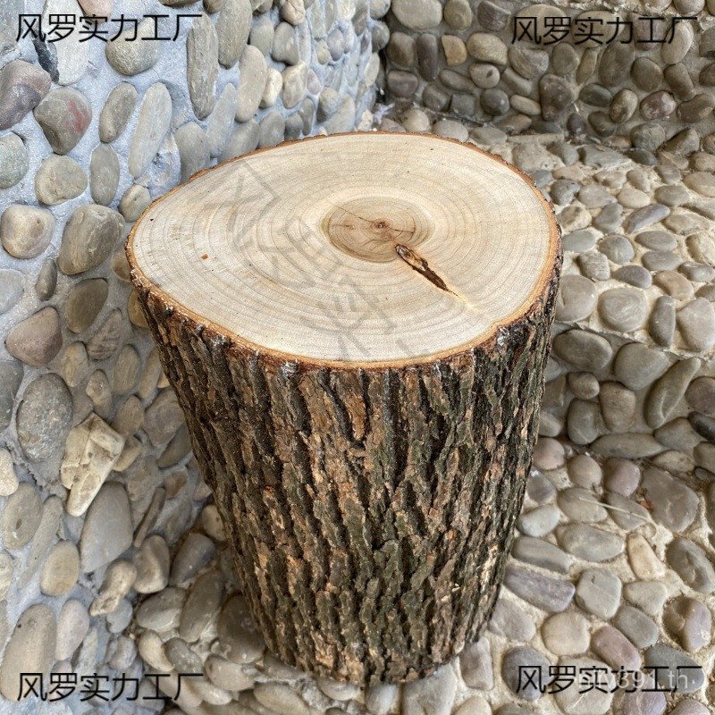 สตูลไม้ Pier สตูลไม้ Camphor Tree APOC | Shopee Thailand