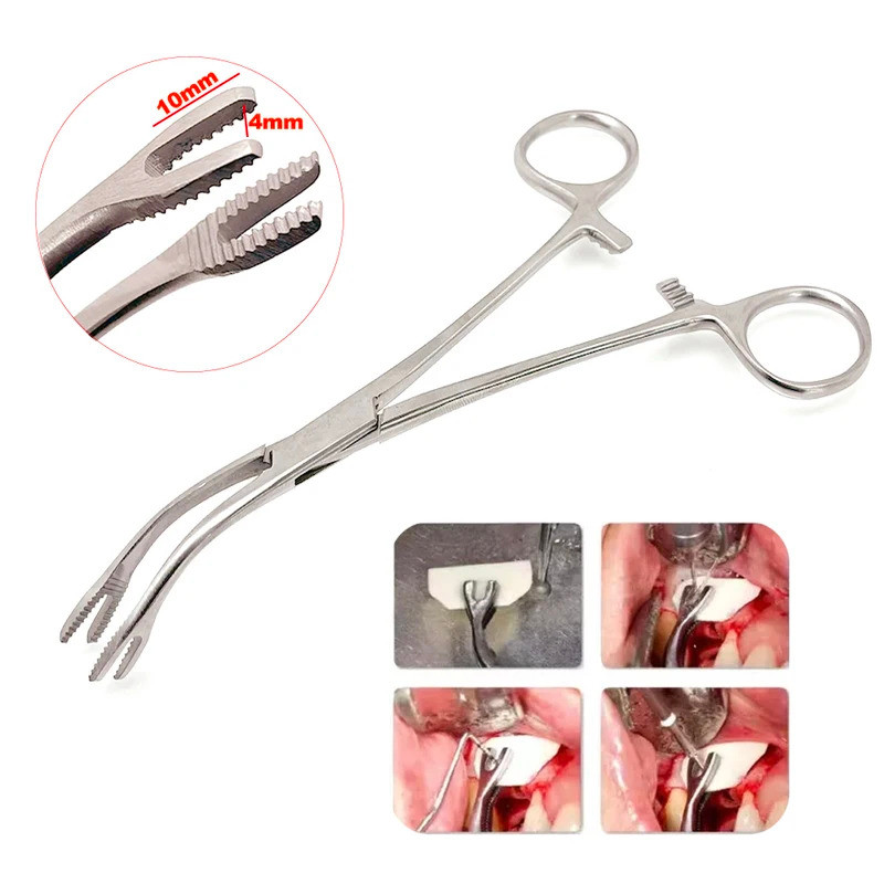 Dental Bone Graft Forceps Bone Fragment Gripper Surgical Pliers for ...