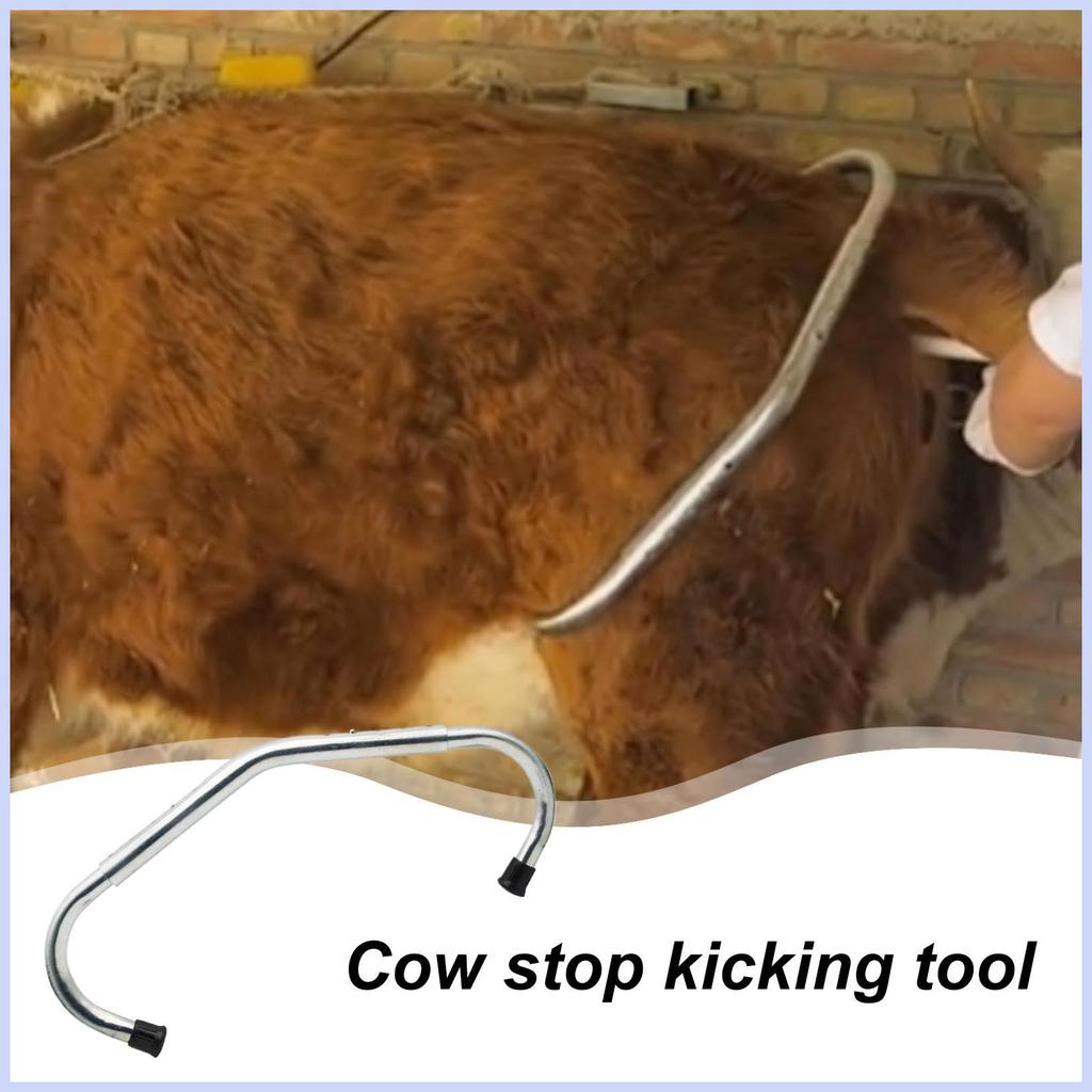 Cattle Anti-Kick Stick ปรับ Cattle Stop Kicking อุปกรณ์สัตวแพทย์อุปกรณ์ ...