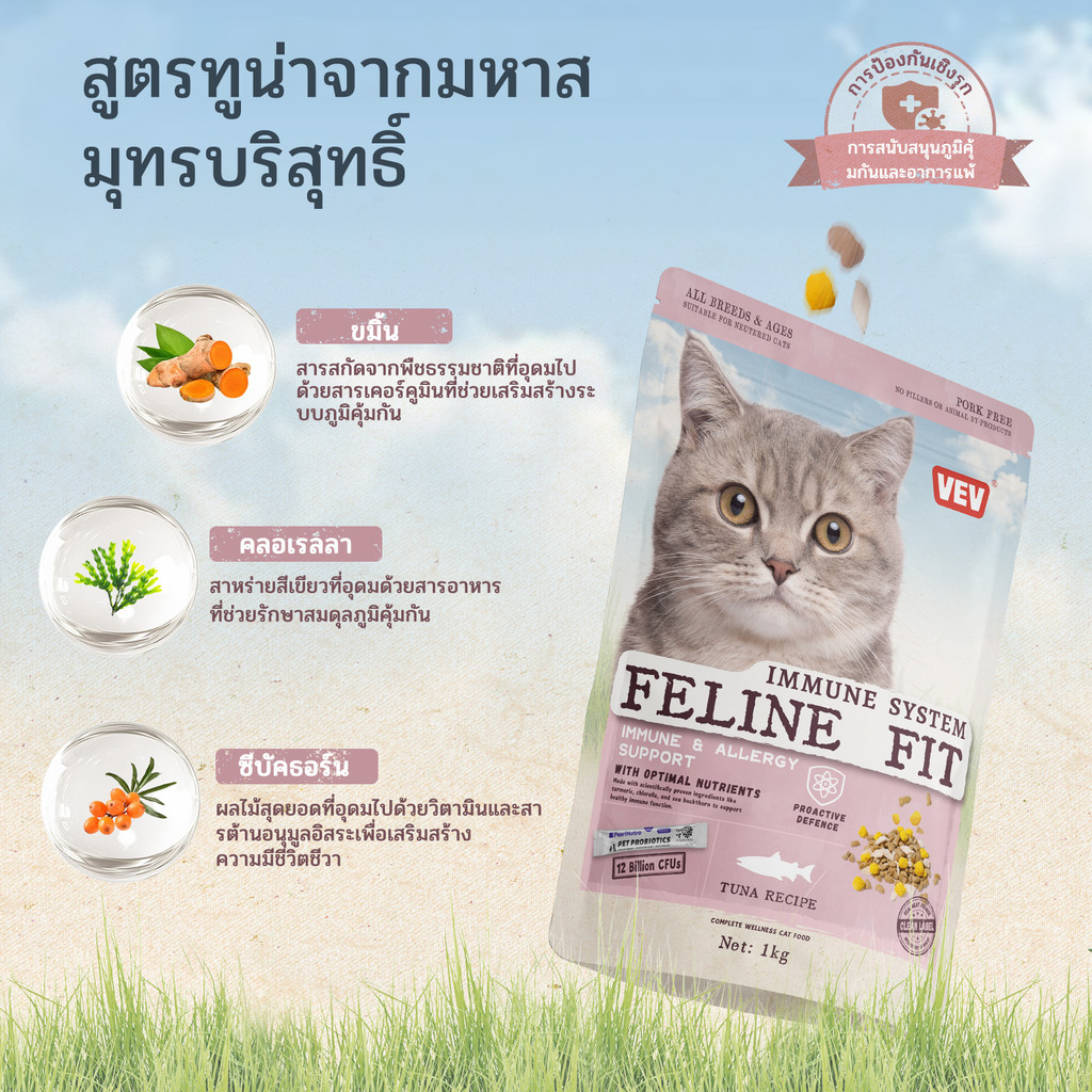 【โปรไบโอติกฟรี】VEV แบ่งขาย 1 kg. Premium Cat Food Gluten Free | Shopee ...