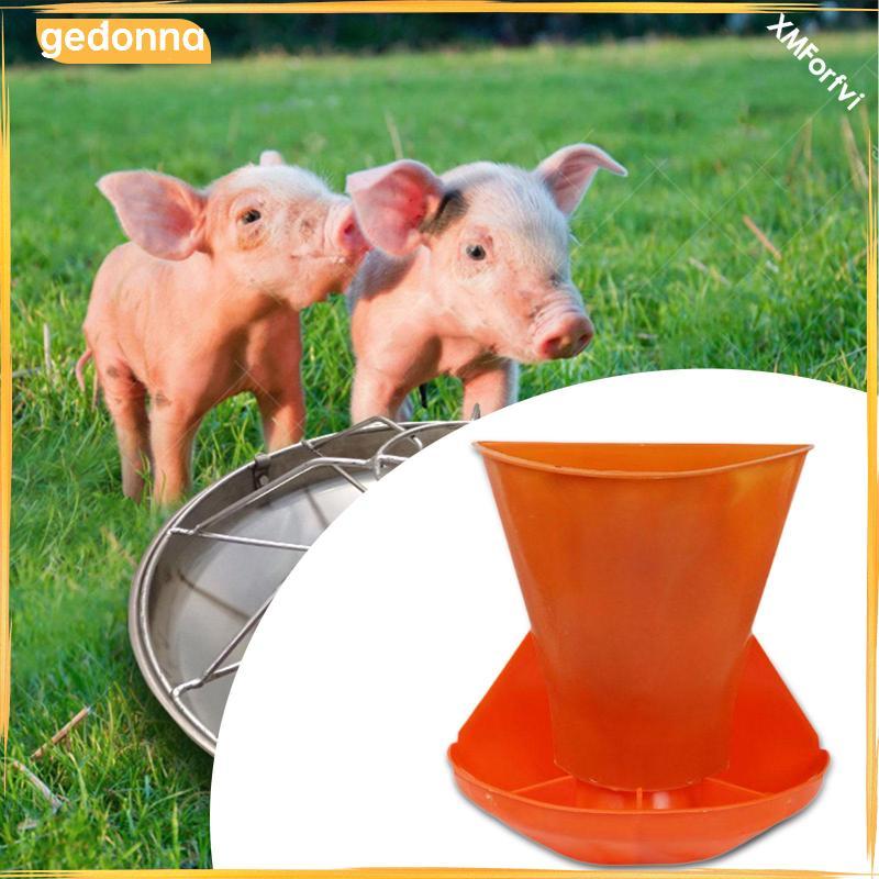 [gedonna] Cattle Feeder Piglet Feeding Trough Pig Feeding Trough Farm ...