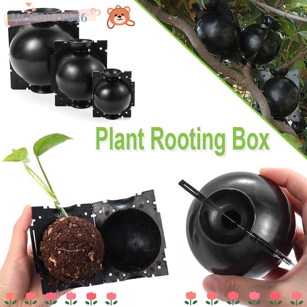 HGOUGVT Botany Root Controller, Growing Box Propagation Ball แรงดันสูง ...
