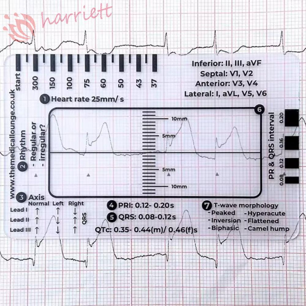 HARRIETT ECG 7 Step Ruler Card,Interpretation Portable Pocket Ecg/Ekg ...