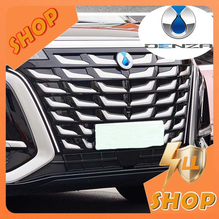[READY]DENZA D9 Car Front Grille Insect Net BYD DENZA Body Kit Car ...