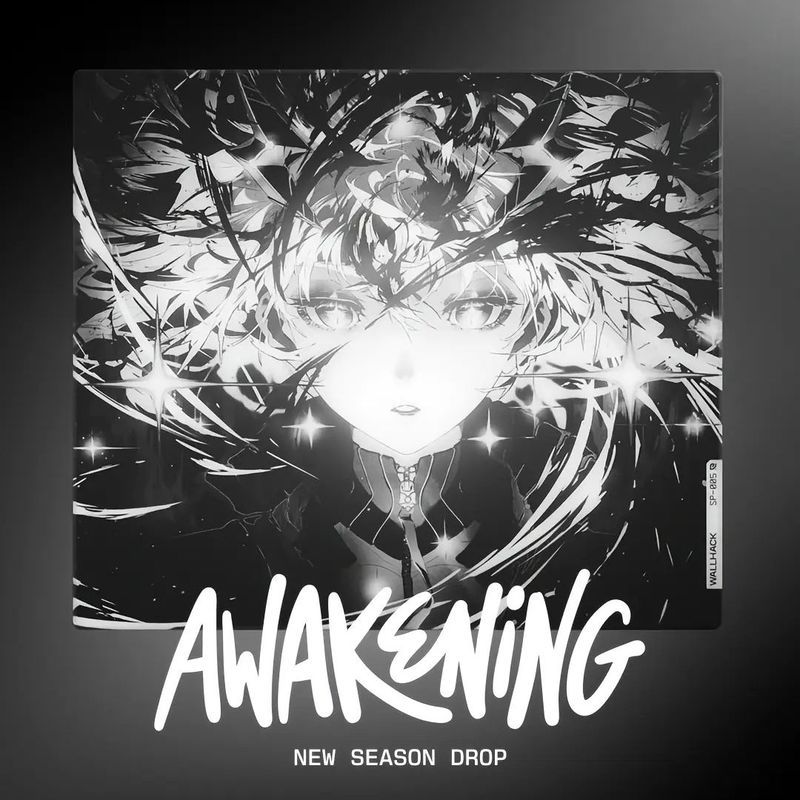 WALLHACK WALLHACK AWAKENING AWAKENING SORA แผ่นรองเมาส์กระจกนิรภัยเกม ...