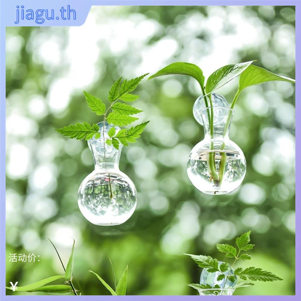 JIAGU 2 ชิ้นแจกันติดผนัง, Semi Circular Creative Plant Hydroponic ...