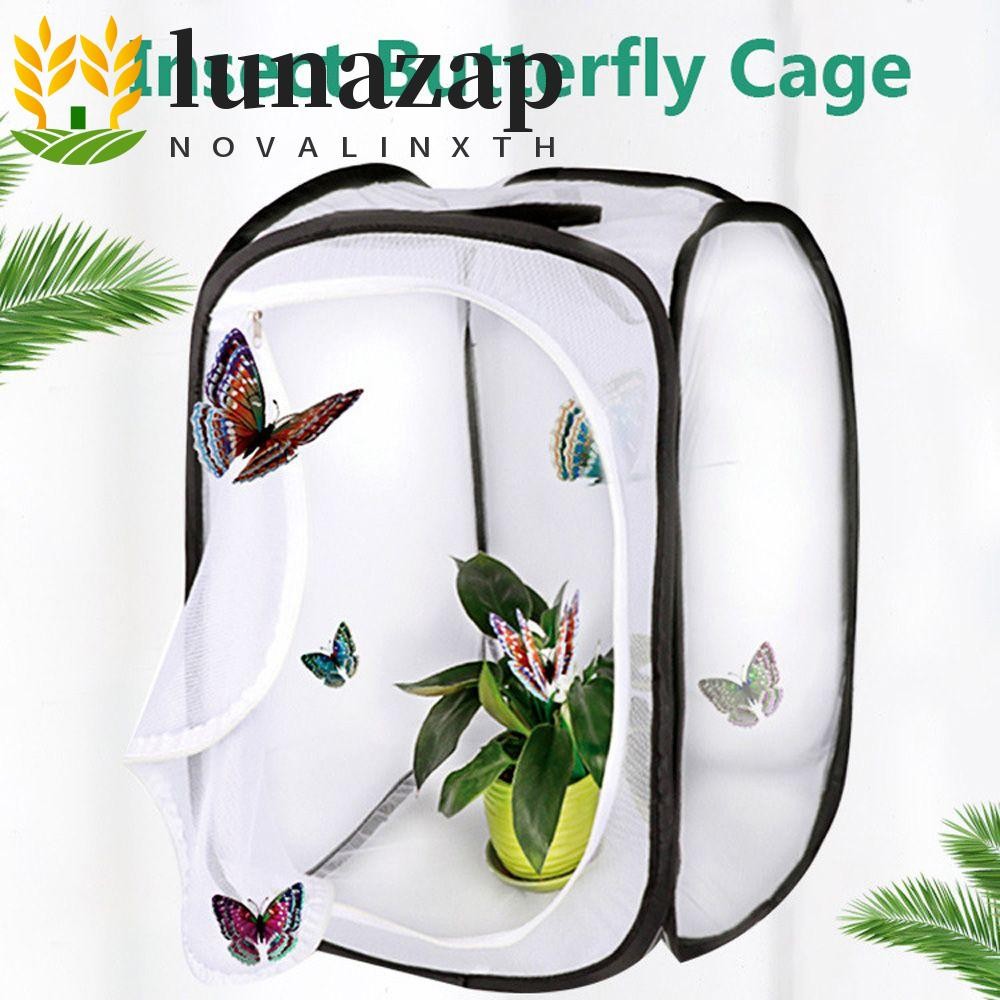 LUNAZAP กรงแมลง Plant Proof Ant Housing Enclosure อุปกรณ์สําหรับสัตว์ ...
