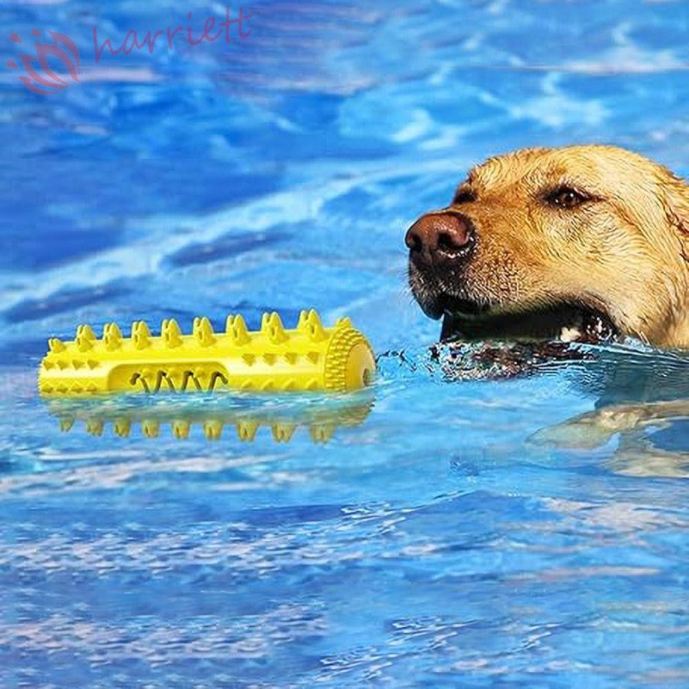 HARRIETT สุนัขแปรงสีฟัน Stick, Bump Design Vocal Dog Chew ของเล่น ...