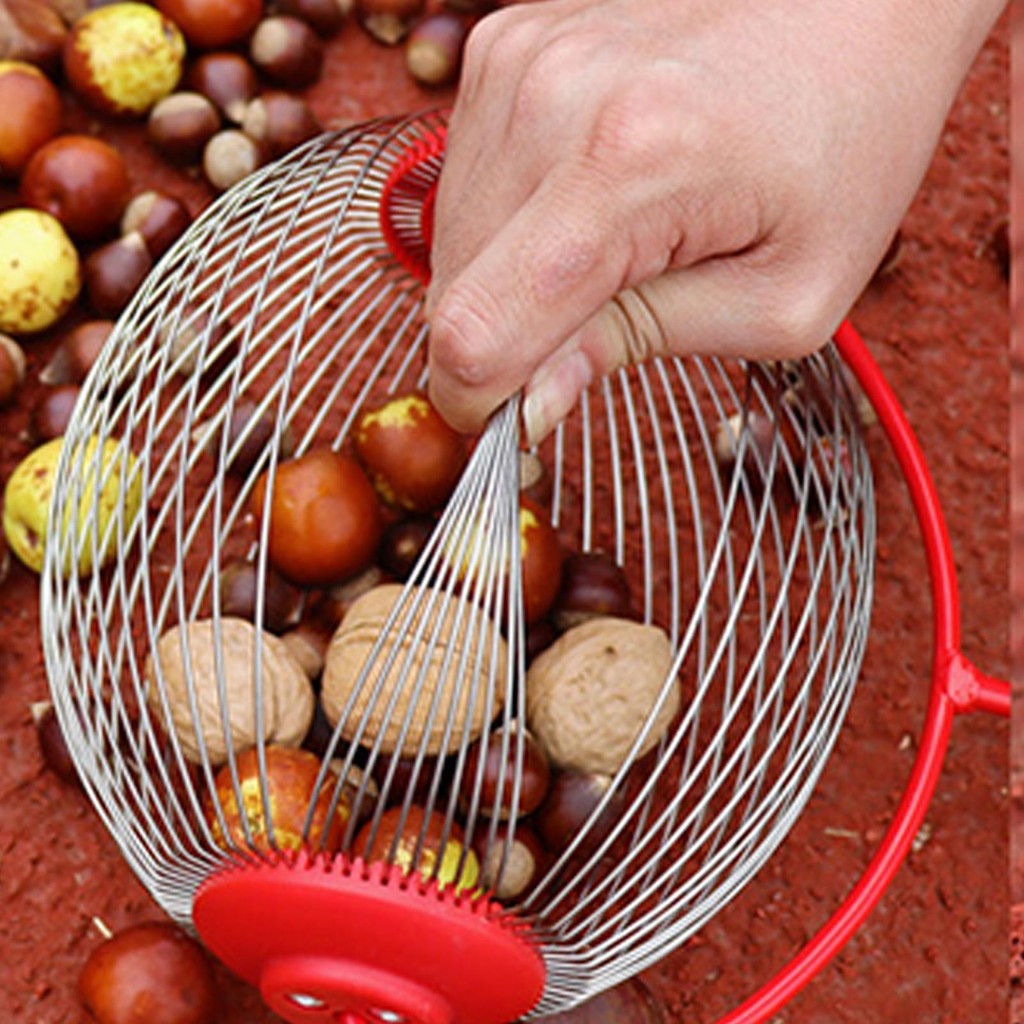 Nut Collector Picker Nut Harvest Picker สแตนเลสรวบรวมเครื่องมือคู่มือ ...