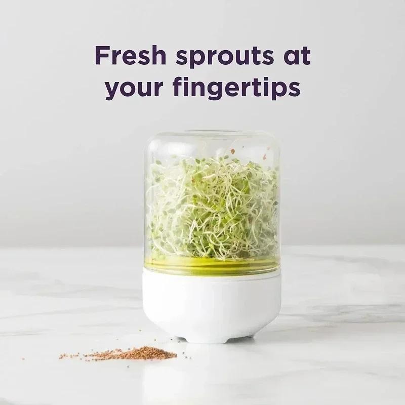 เคาน์เตอร์ Sprouter Sprouts Growing Kit ครัวในครัวเรือน Bean พืช ...