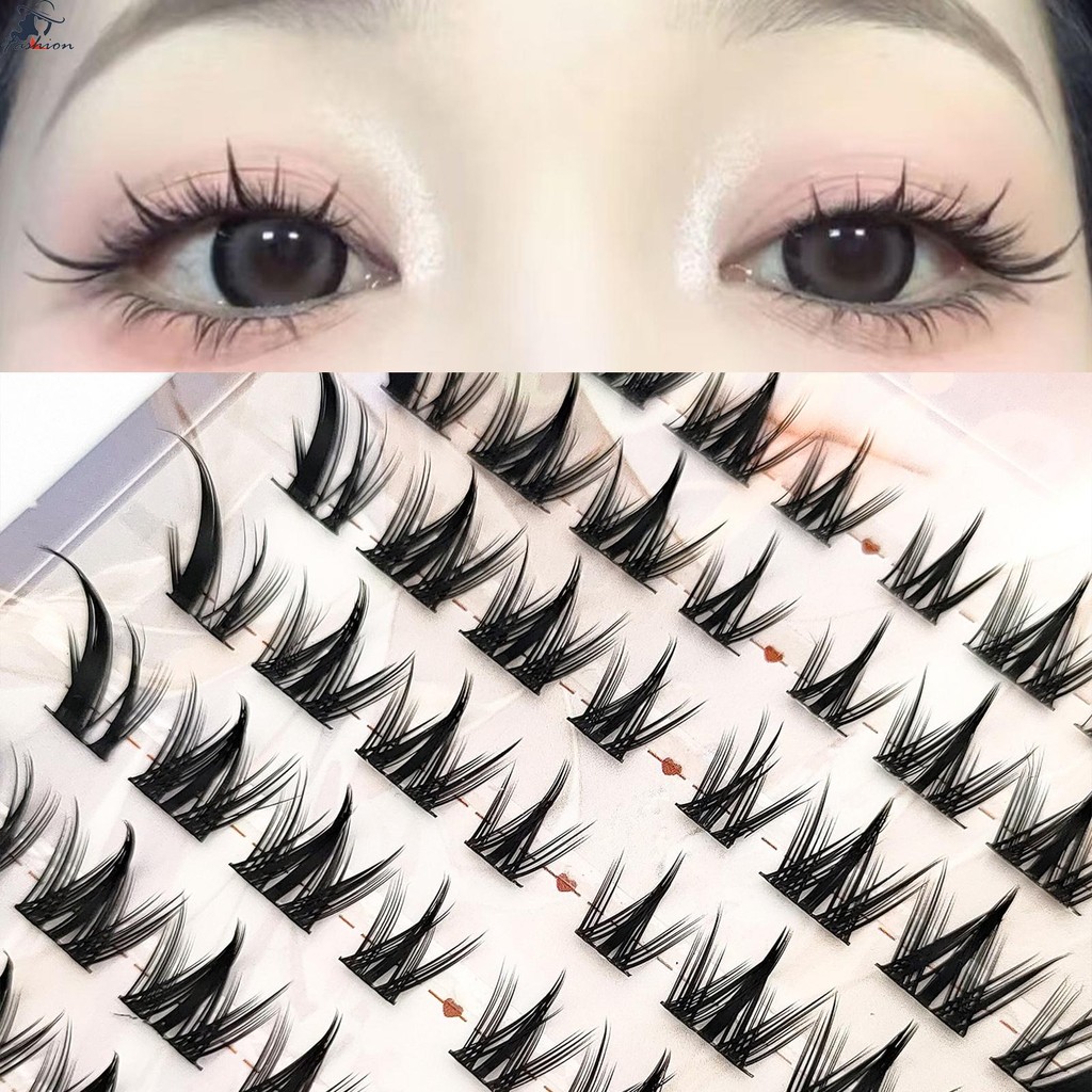 Dense Natural Lashes Clusters Segmentation Wispy Lash Extension เหมาะ ...