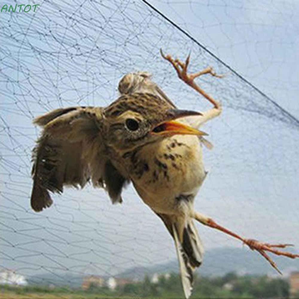 ANTOT Bird , Traps Crops Bird-Proof Nylon, พลาสติก 6-30m ป้องกัน Pond ...