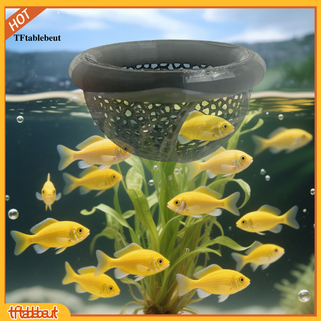 TF* Betta Fish Feeding Station Betta Fish Habitat ตกแต่ง 3d พิมพ์ลอย ...