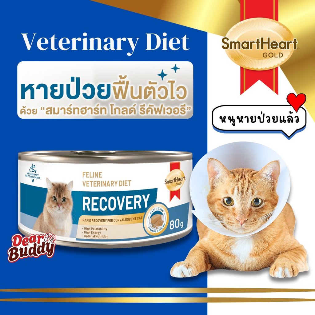 Smartheart Gold Recovery อาหารเปียกแมว 80 กรัม สำหรับดูแลหลังพักฟื้น ...