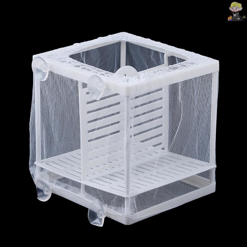 [CLA] ตู้ปลาพิพิธภัณฑ์สัตว์น้ํา Breeding Guppy Breeder Baby/Fry Net ...