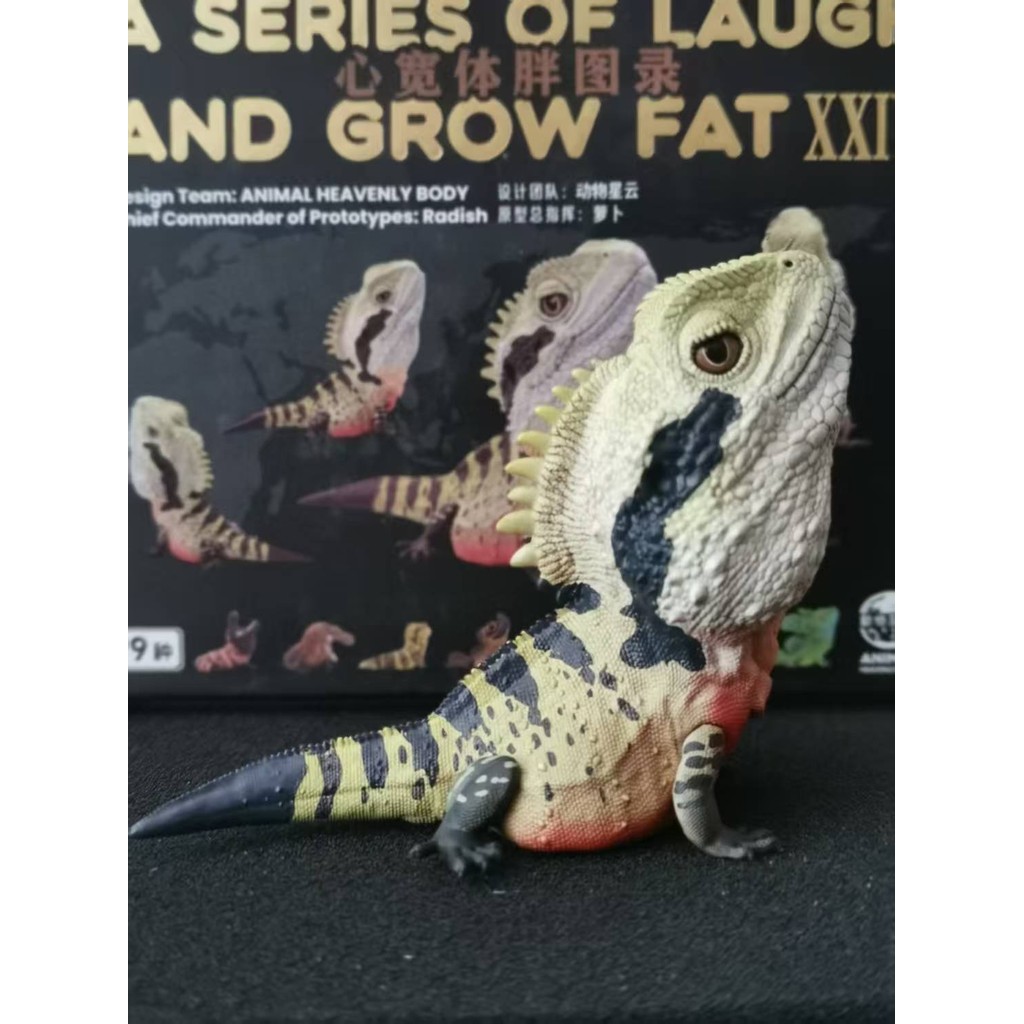 Animal Planet Heart Wide Body Fat Lizard 24 Bombs Hidden Edition ...