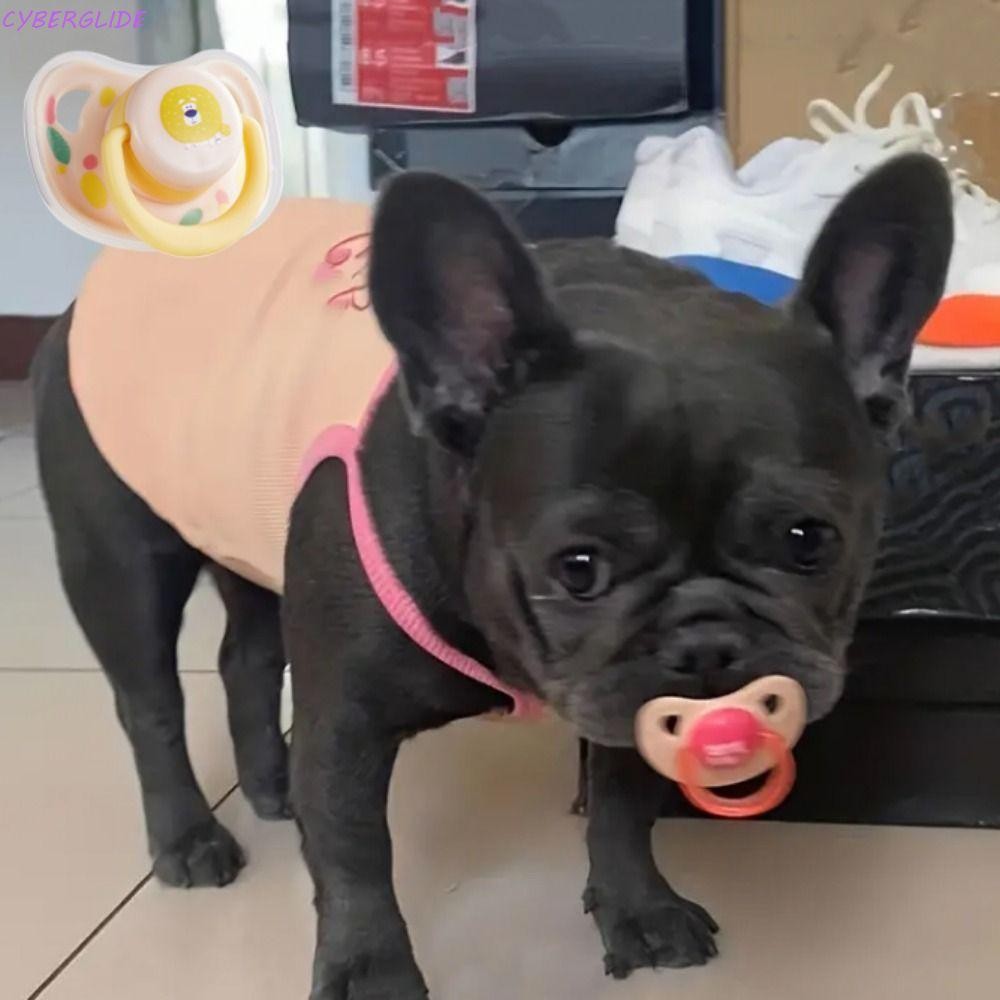 CYBERGLIDE Pet Silicone Pacifier, Silicone Chewing Pacifier ของเล่น ...