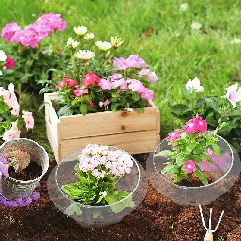 สวน Cloches พลาสติก Slug หอยทากปลอกคอ Planter ป้องกันครอบคลุมต้นกล้าผัก ...