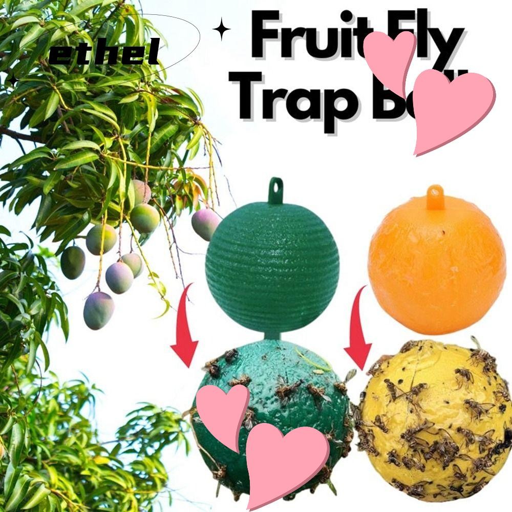 ETHEL Fly Sticky Traps,แขวนสีเหลืองสีเขียว Fly Trap Ball,สวนอุปกรณ์ ...