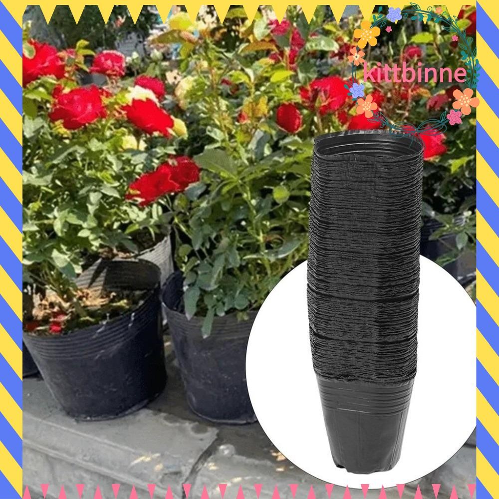 ชุด823 500ชิ้น/เซ็ตถ้วยพืช,พลาสติกทิ้งพืชการขยายหม้อ,สีดําการเพาะปลูกภาชนะสวนเครื่องมือ | Shopee ...