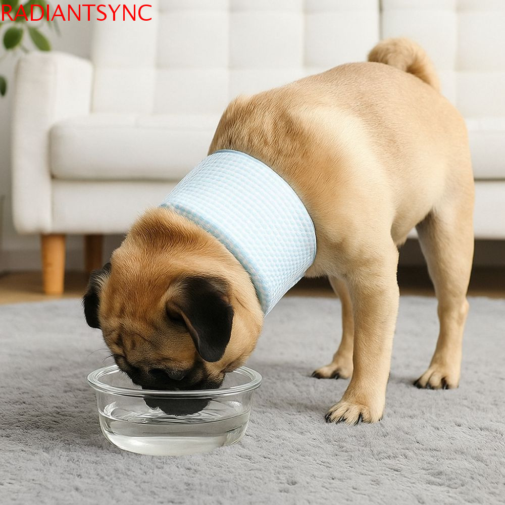 RADIANTSYNC Cat Recovery Collar, ตาข่ายสุนัขคอสนับสนุน, ปฏิบัติสบายปรับ Breathable สัตว์เลี้ยง ...