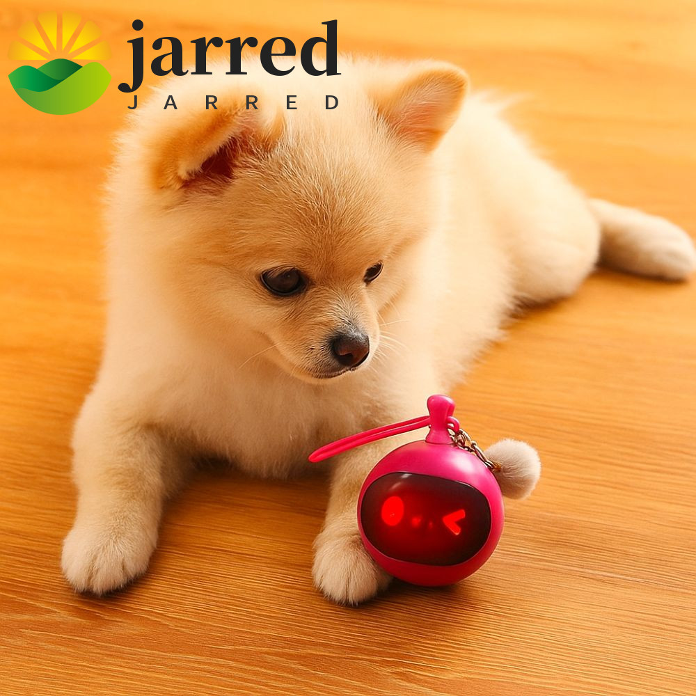 JARRED ของเล่นแมวไฟฟ้าอัจฉริยะ, USB Sounding Self-rolling Ball ของเล่น ...