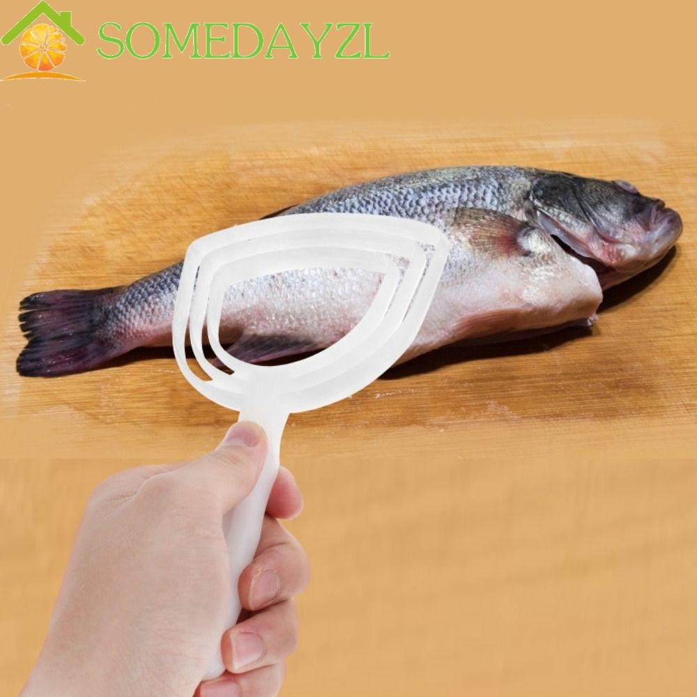 SOMEDAYZL 4 ชิ้นเนื้อ Scraper, สีขาวคู่มือปลา Scales, Bone Dust Remover ...